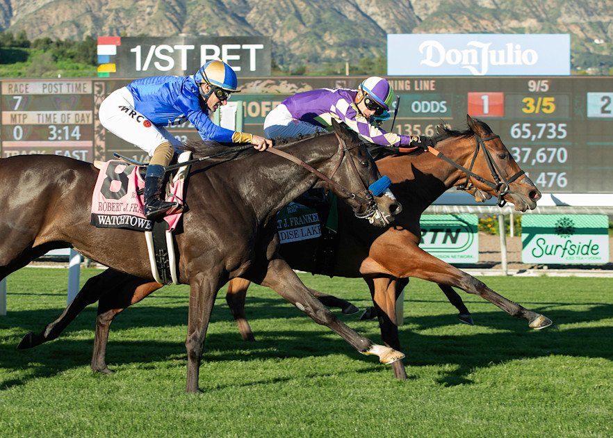 Paradise Lake Prevails In Photo Finish To Win The Grade III Robert J ...