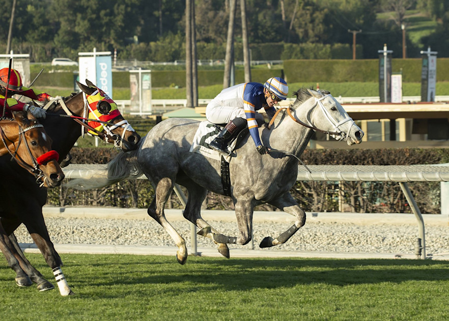 Multiple Stakes Winner Rose Maddox Returns To The Hillside Turf Course ...