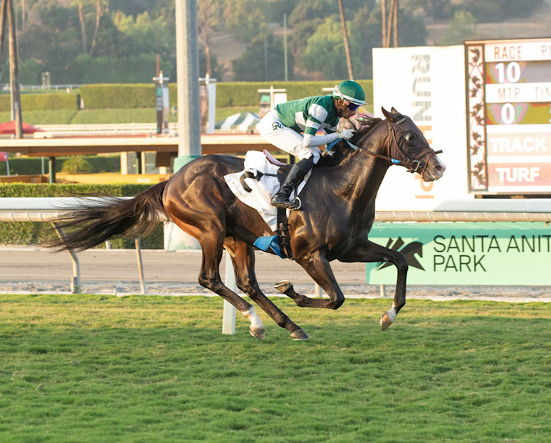 Hronis Racing’s Game Time Gets Nod In Wide-Open Singletary Stakes ...