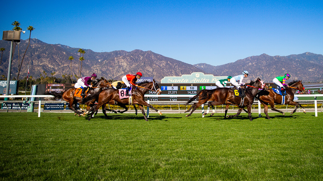 The Cornhole Derby | Arcadia & Pasadena CA | Santa Anita Park