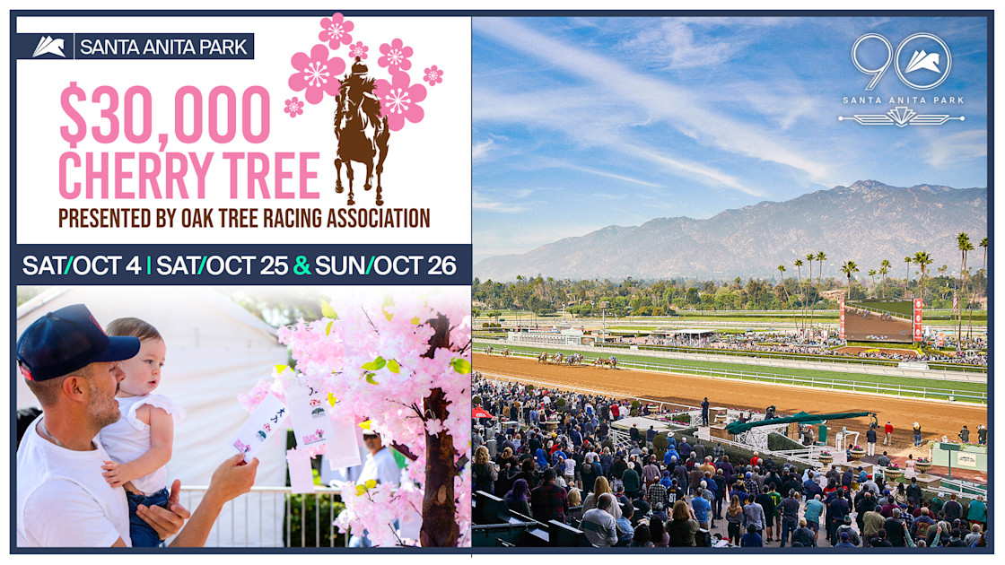 $30,000 Cherry Tree & Japan Family Day | Arcadia & Pasadena CA | Santa ...