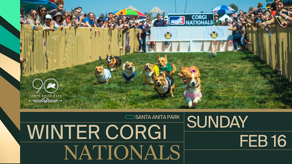 SoCal Corgi Nationals | Arcadia & Pasadena CA | Santa Anita Park
