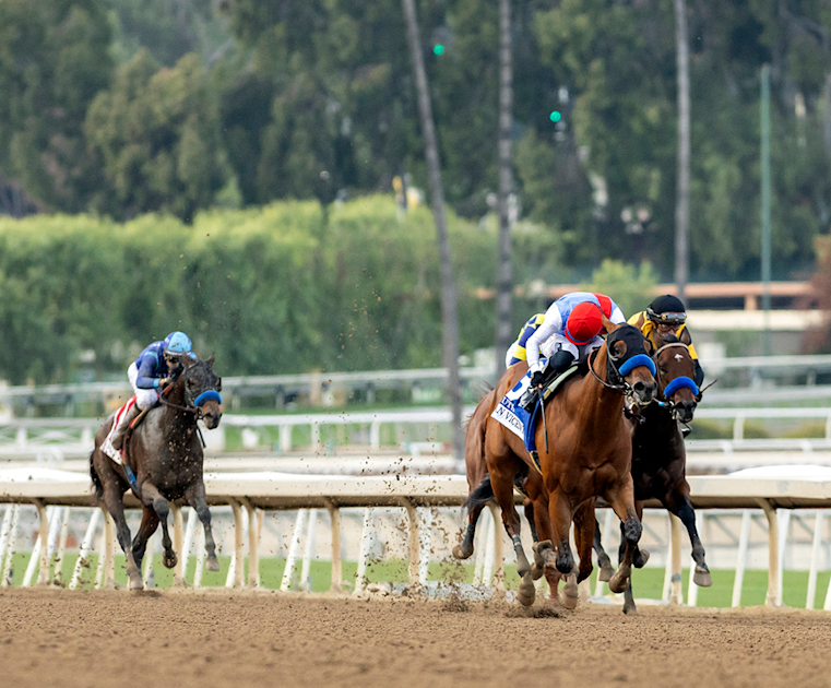 Inaugural California Crown Day At Santa Anita Attracts 146 Nominations ...
