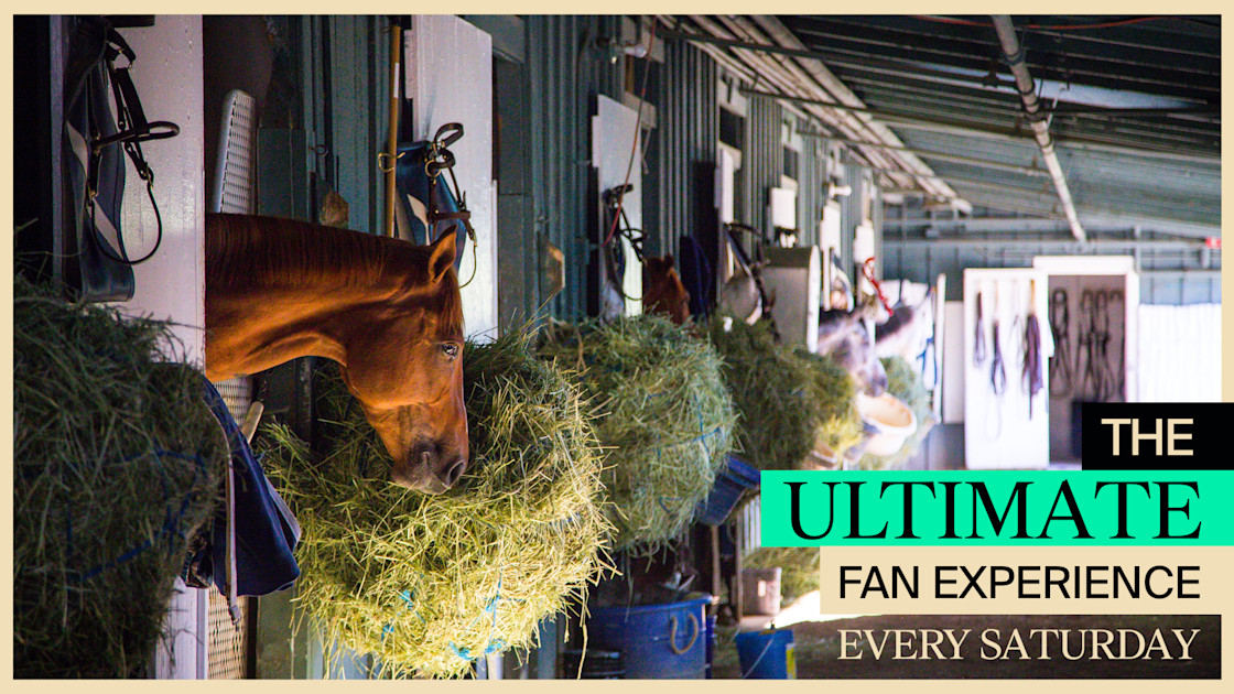 Ultimate Fan Experience | Arcadia & Pasadena CA | Santa Anita Park