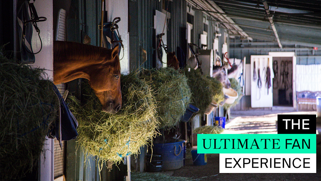 Ultimate Fan Experience | Arcadia & Pasadena CA | Santa Anita Park