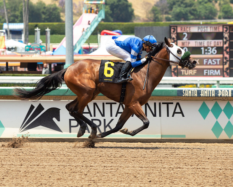 Palma’s French-Bred Becky’s Dream Heads Saturday’s $100,000 Fasig ... Palma’s French-Bred Becky’s Dream Heads Saturday’s $100,000 Fasig ...
