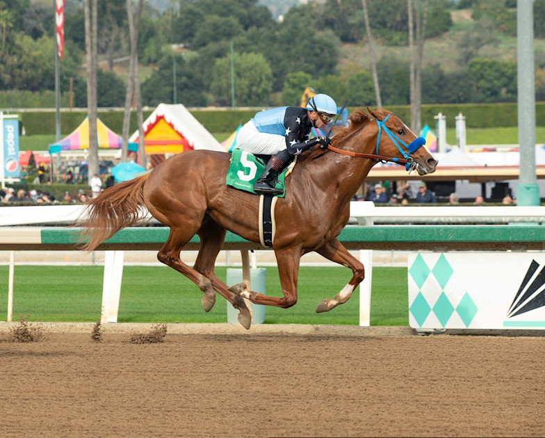 Promising Judge Miller Makes Stakes Debut Saturday In GIII, $100,000 ...