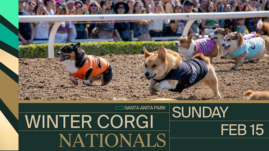 Winter Corgi Nationals Returns To Santa Anita Park Feb. 15 Featuring ...
