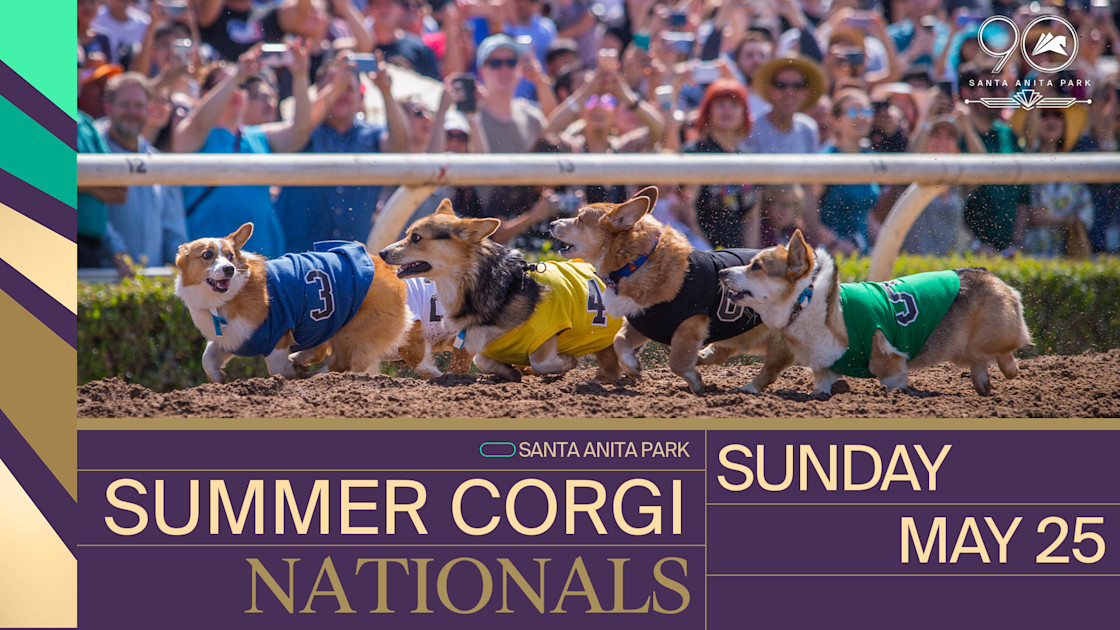 SoCal Corgi Nationals | Arcadia & Pasadena CA | Santa Anita Park