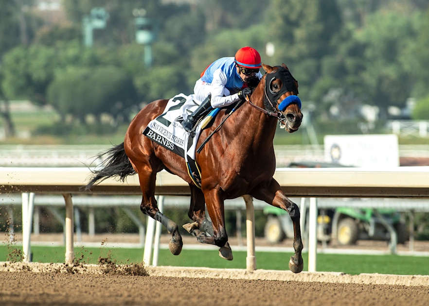 GRADE II, $200,000 SAN VICENTE STAKES QUOTES | Santa Anita Park