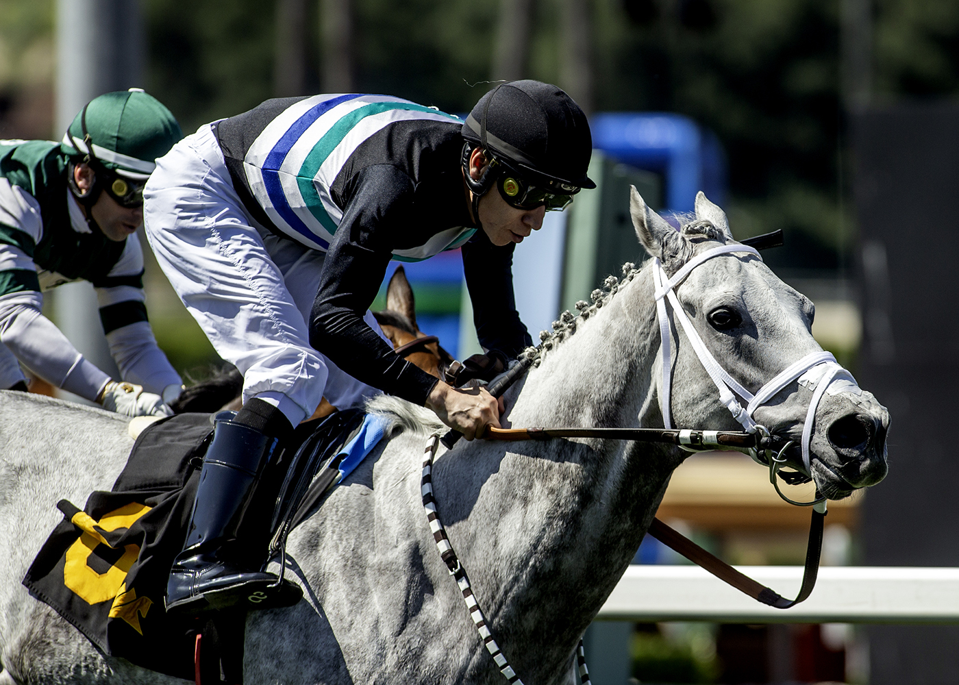 Santa Anita Stable Notes Sunday, May 11, 2025 | Santa Anita Park