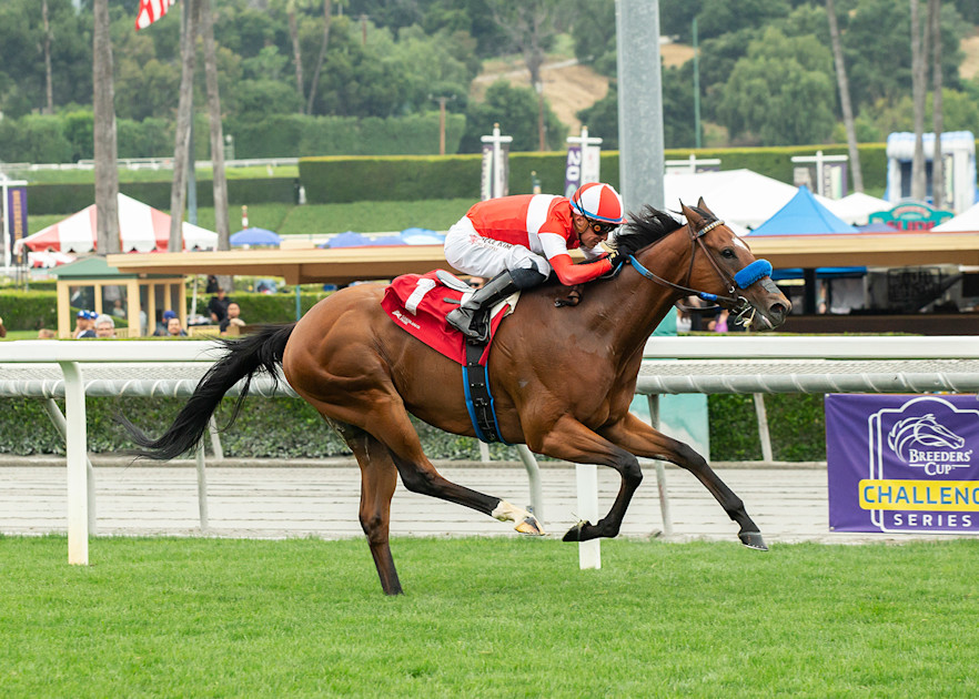 Sadler’s Kings River Knight The Horse To Beat In Sunday’s $100,000 ...