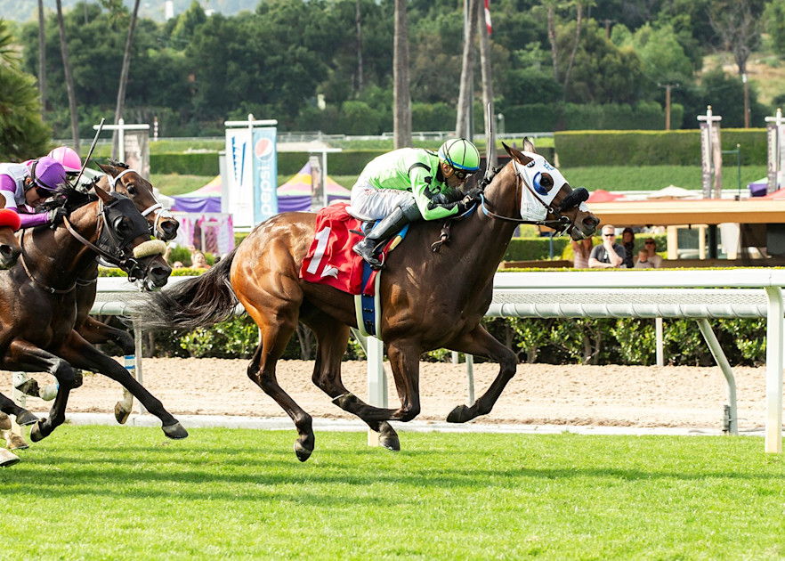 Shady Tiger Guts Out Narrow Victory In Saturday’s $125,000 Snow Chief ...