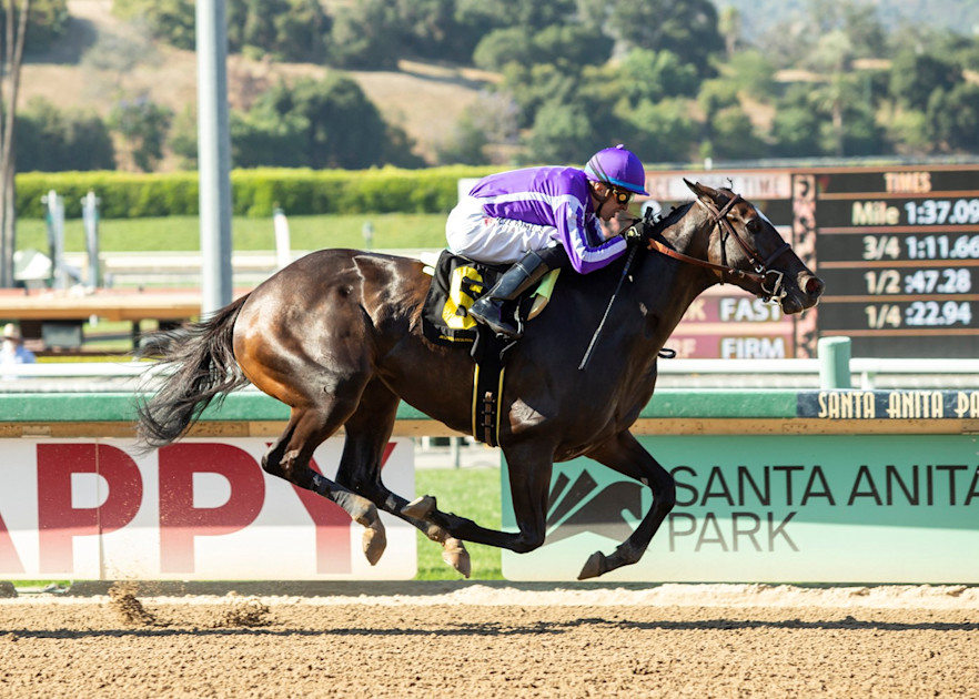 Ganadora, Under The Stars Lead A Competitive Group Of Fillies & Mares ...