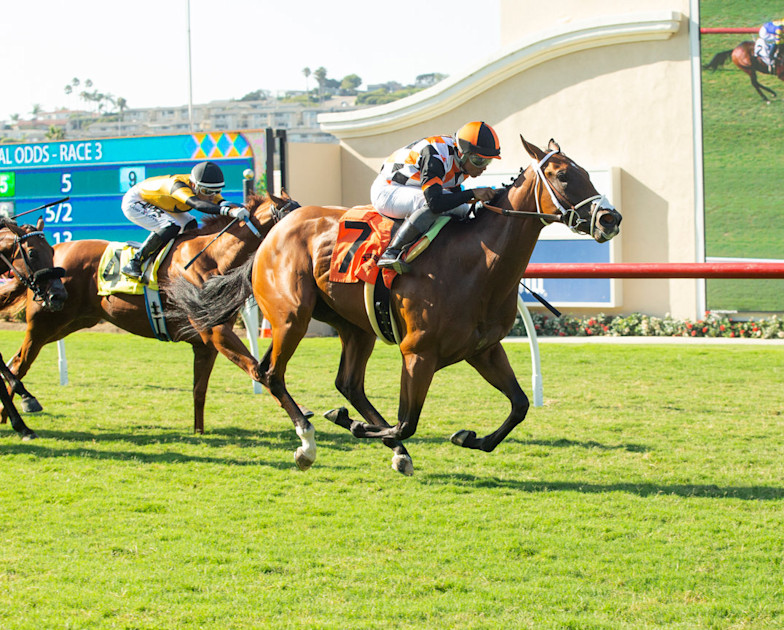 Grade III Winner Artislas Looks To Get Back On The Beam In Next Sunday ...