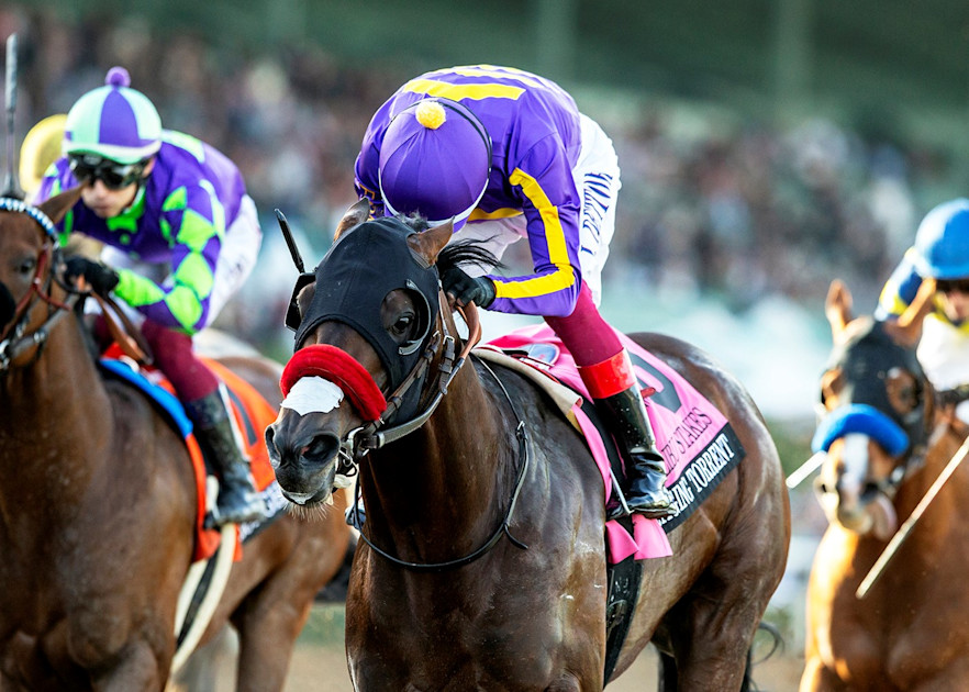 Santa Anita Stable Notes Friday, Dec. 27, 2024 | Santa Anita Park