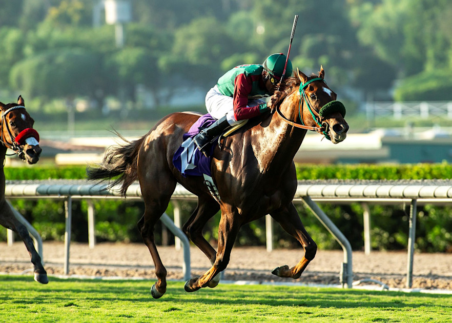 $100,000 CALIFORNIA DISTAFF HANDICAP | Santa Anita Park