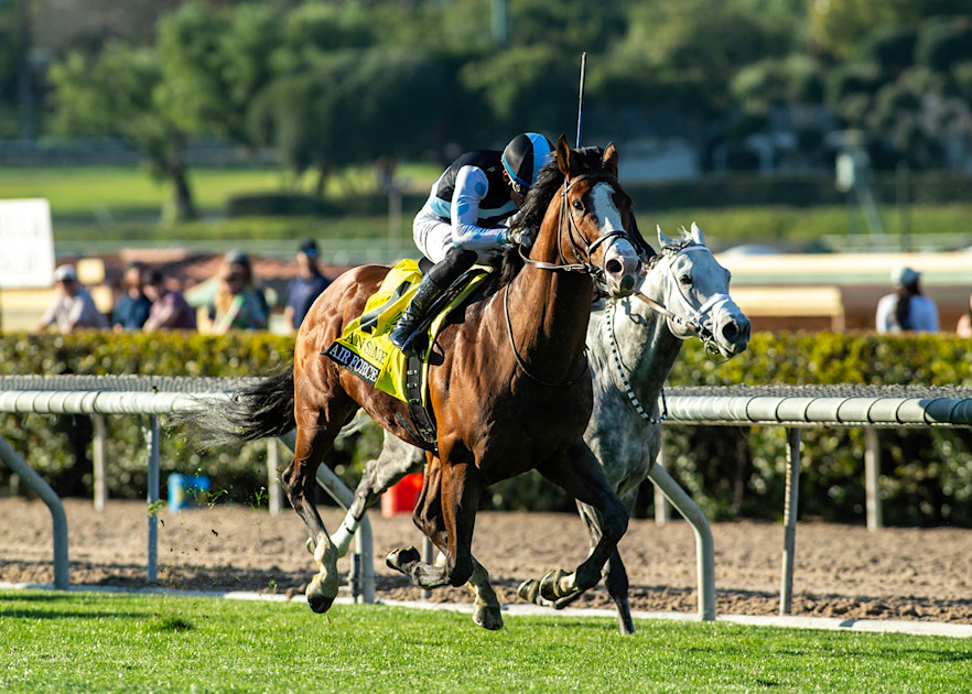 Back In A Week, Air Force Red Flies Past The Field And Wins The GIII ...