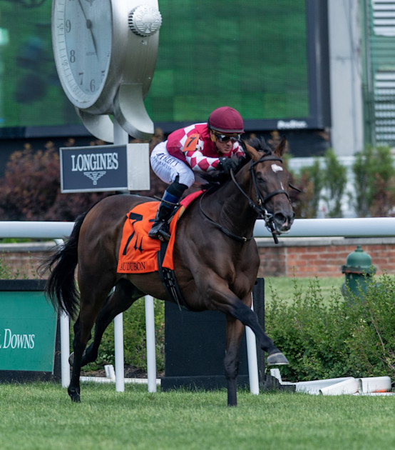 Millionaire Webslinger Heads Field Of 13 At 1 1/8 Miles On Grass In Saturday’s Grade II ...