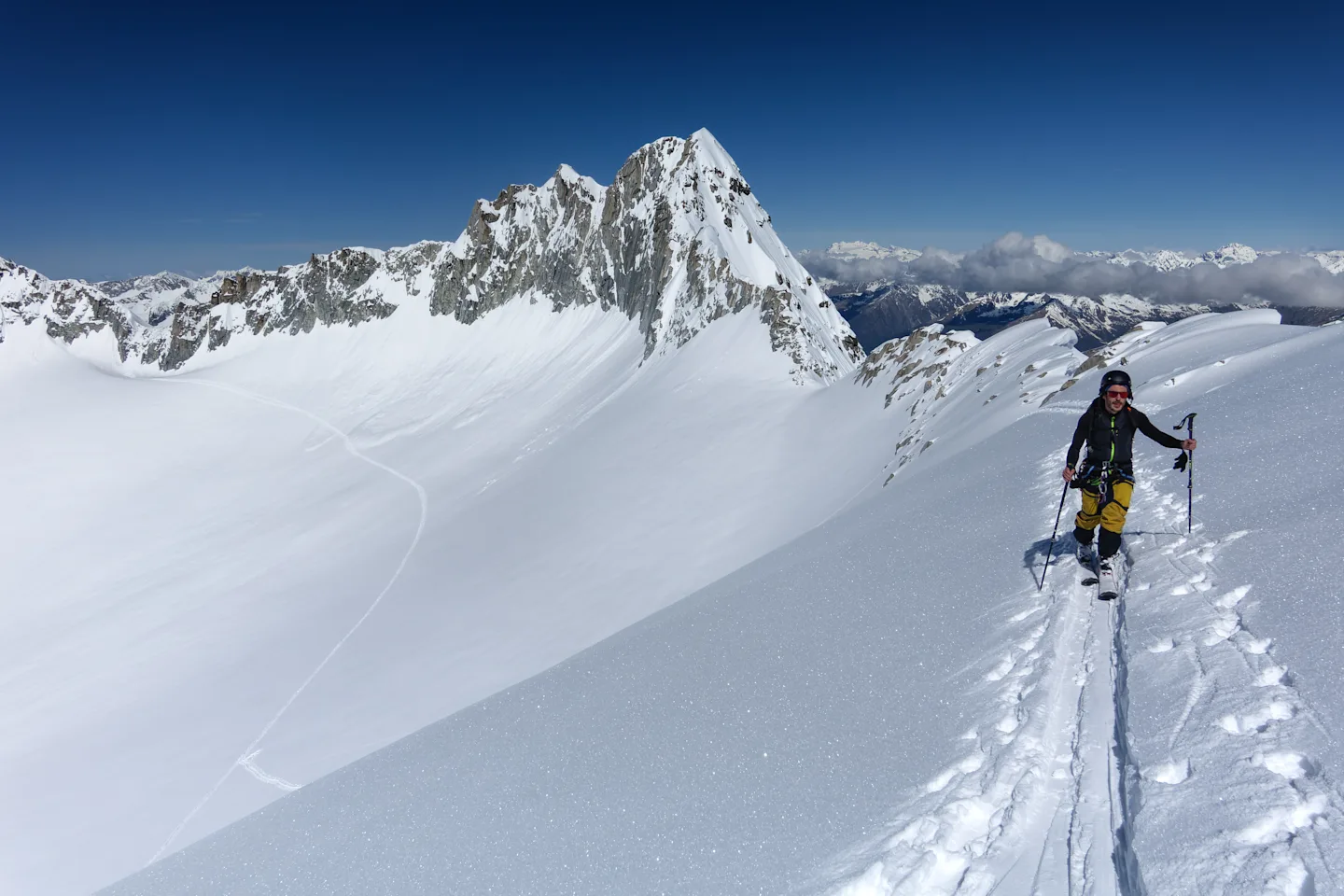 Presanella dal Rifugio Denza | Signalkuppe