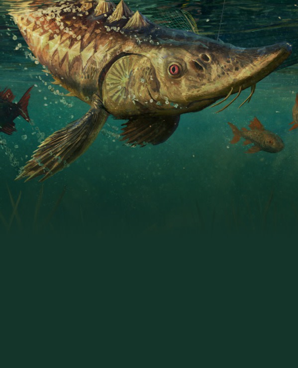 Under water view of fish from Fallout 76