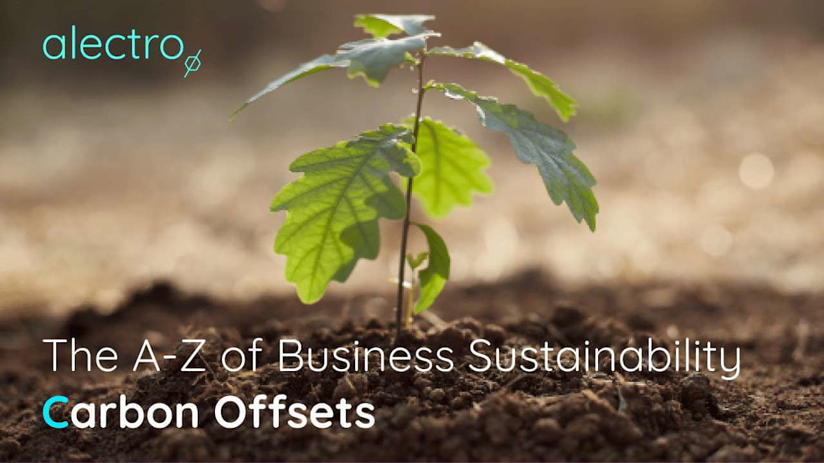 Carbon offsets will ultimately drive companies to reduce their ...