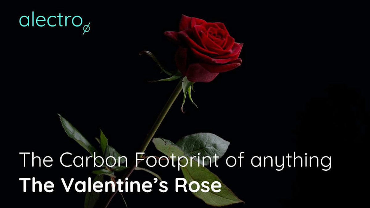 What's the environmental impact of Valentine's Day flowers? — Alectro Blog