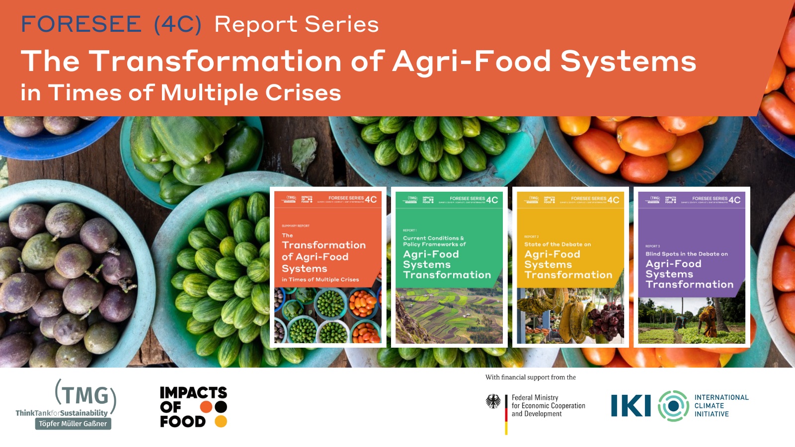 News - New report series explores entry points for the global ...