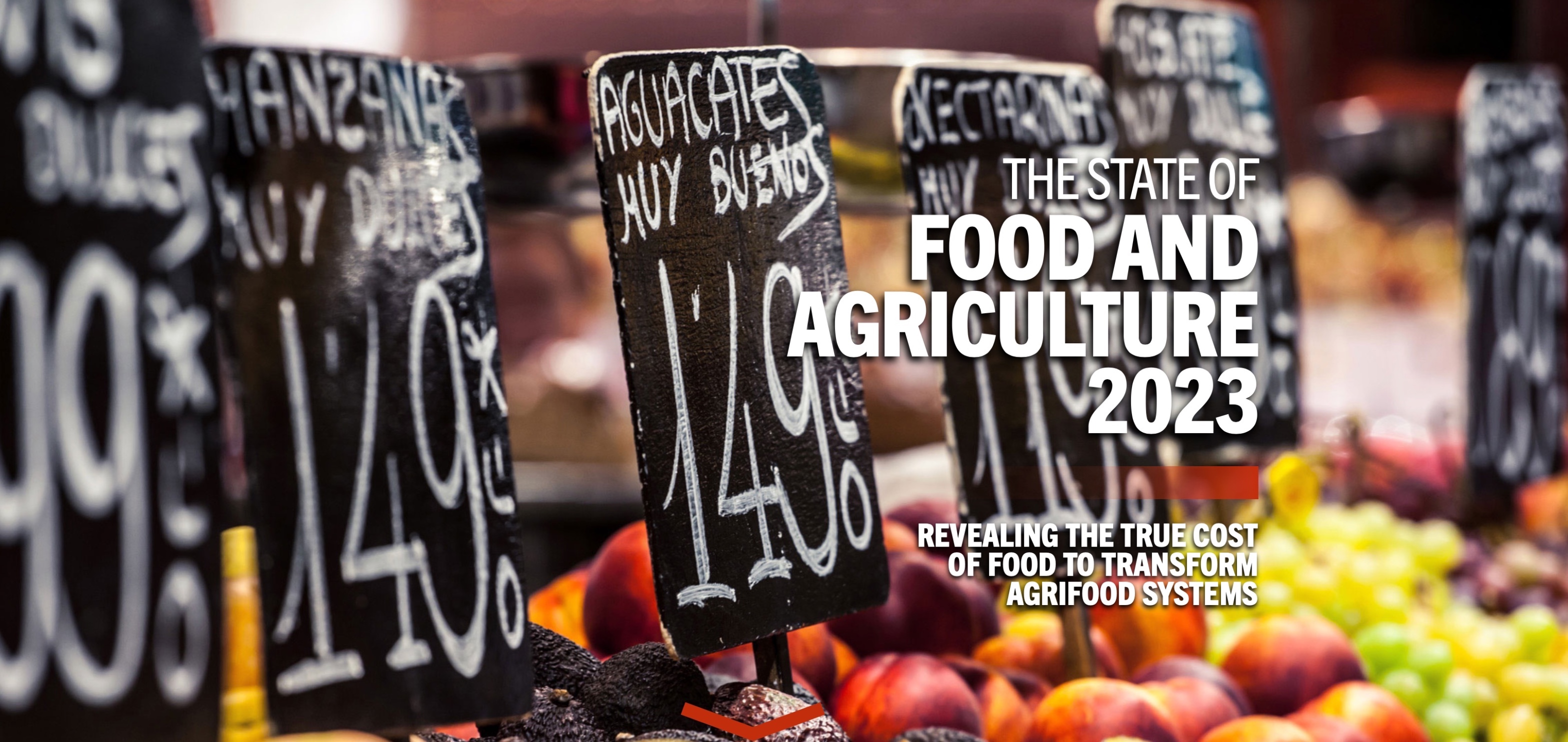 News - How true cost accounting can transform our food systems – and ...