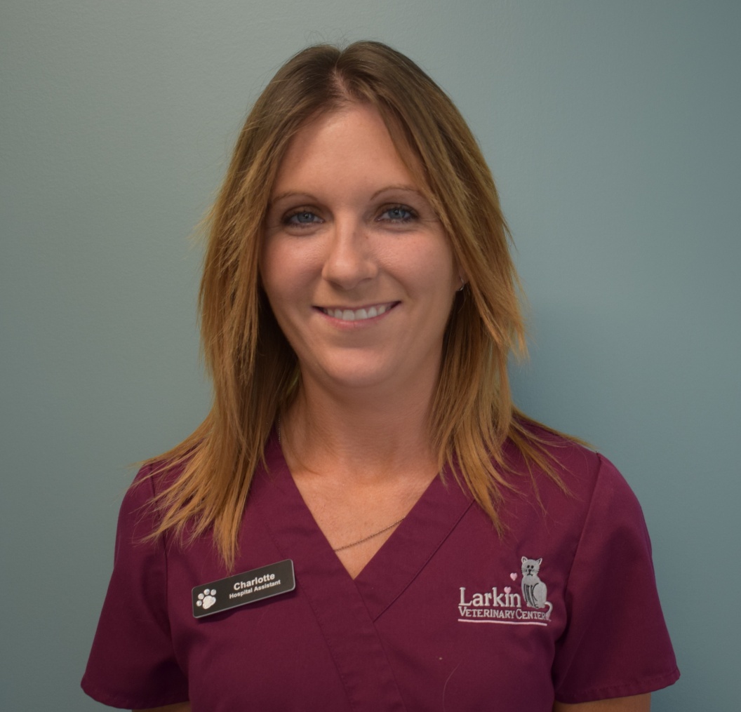 Our Veterinary Team | Larkin Veterinary Center