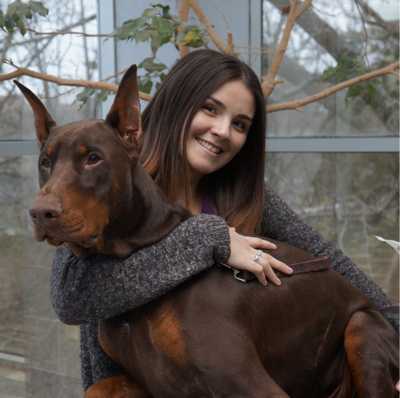 Veterinarian Staff | Bradford Park Veterinary Hospital