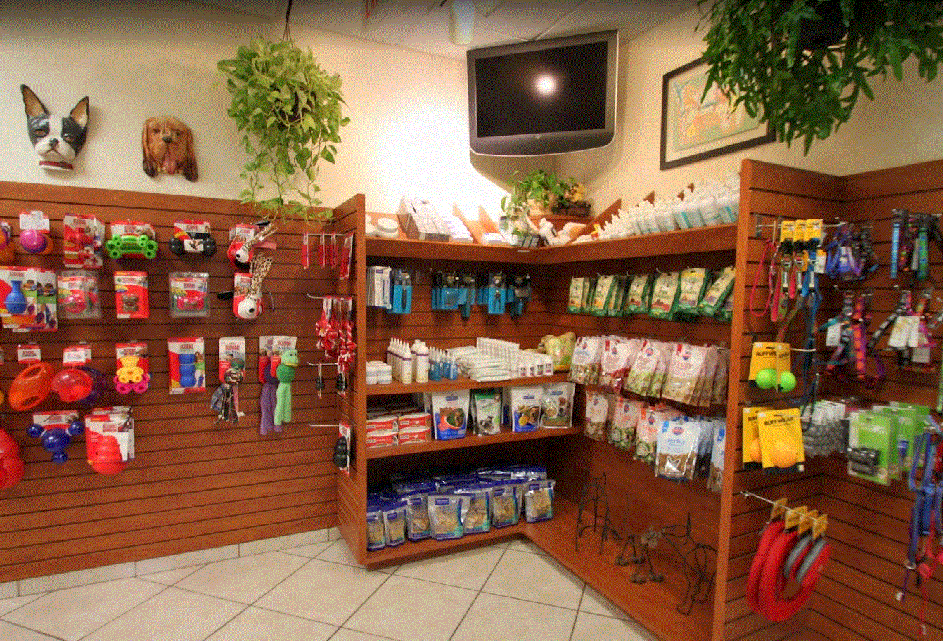 Gallery | Hometown Animal Hospital