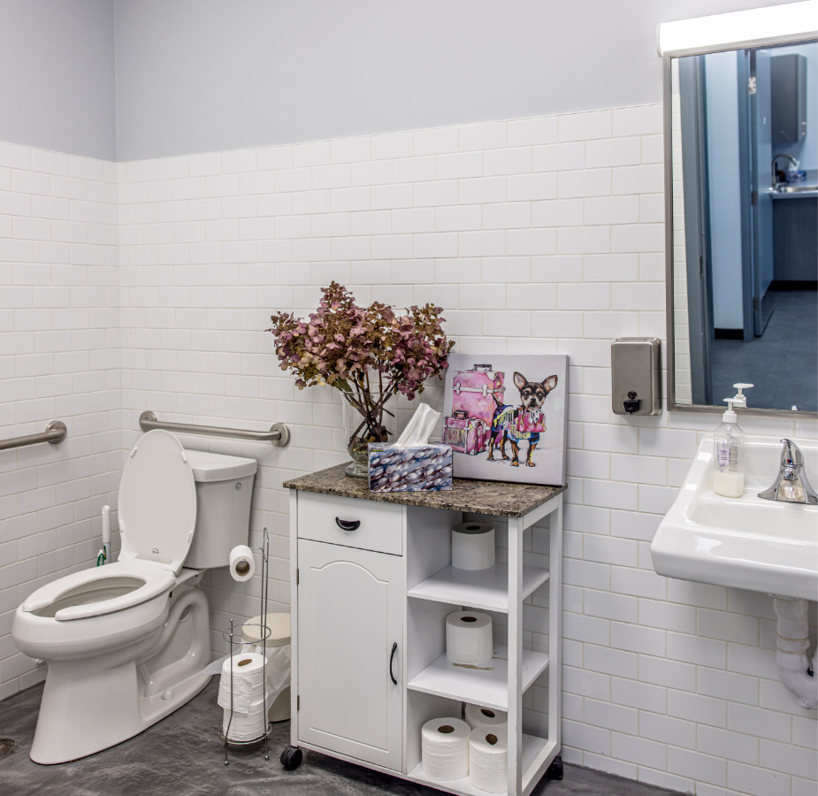 Our Animal Hospital | Burtch Animal Hospital