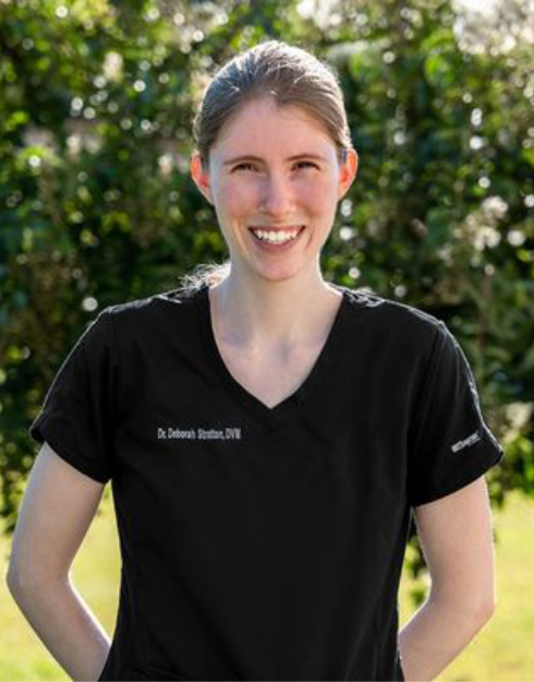 Our Expert Veterinarians in Fredericksburg, VA, Richmond, VA, and ...