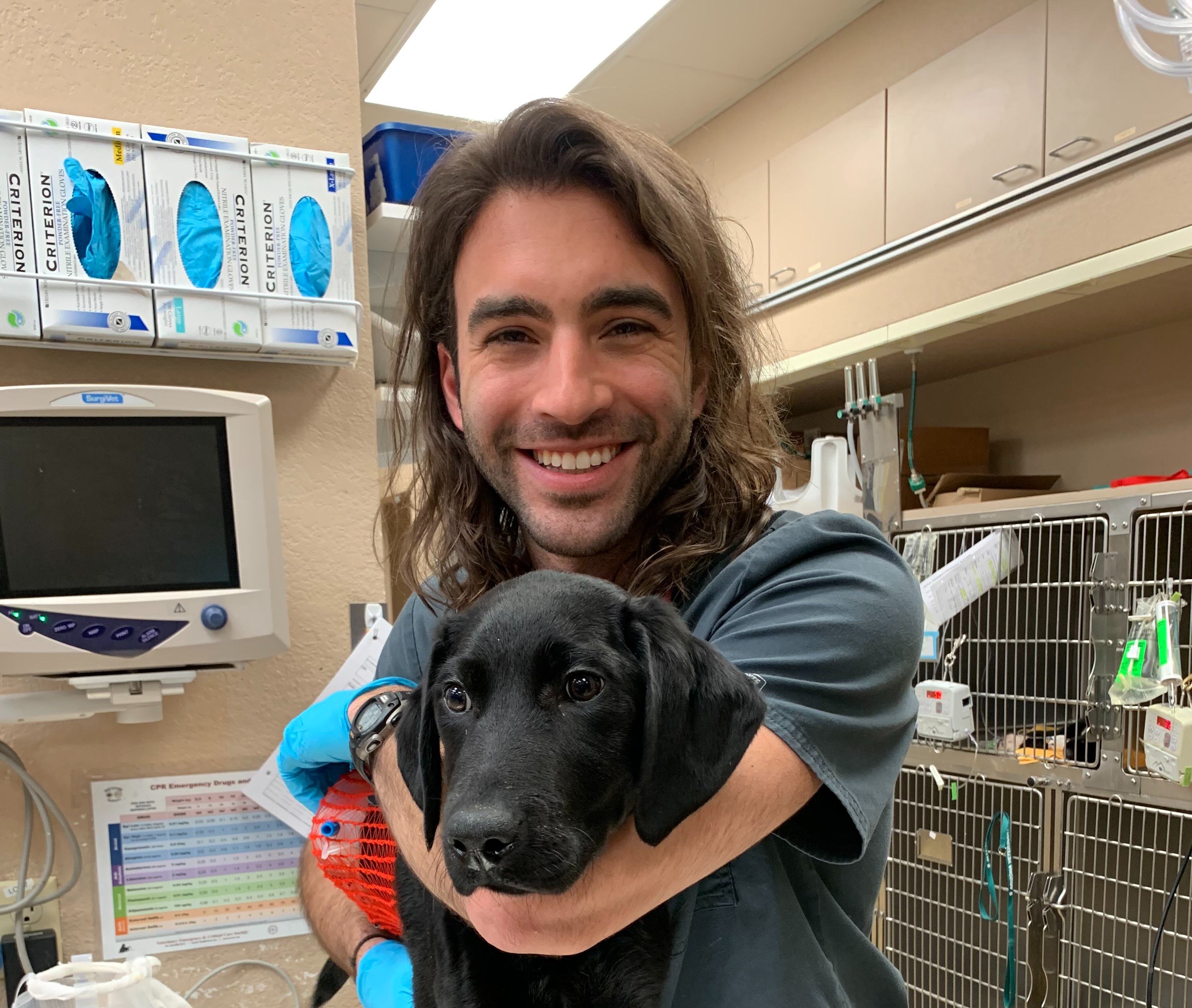 Careers | Arizona Veterinary Emergency & Critical Care Center