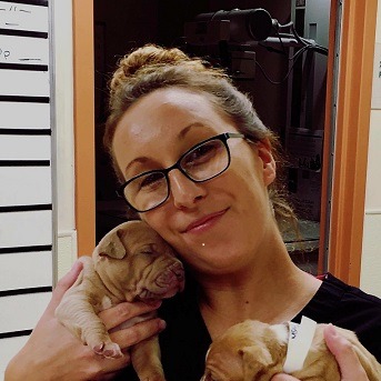 Staff | Gregg Animal Hospital