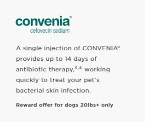 Specials & Promotions | Princeton Animal Hospital & Carnegie Cat Clinic