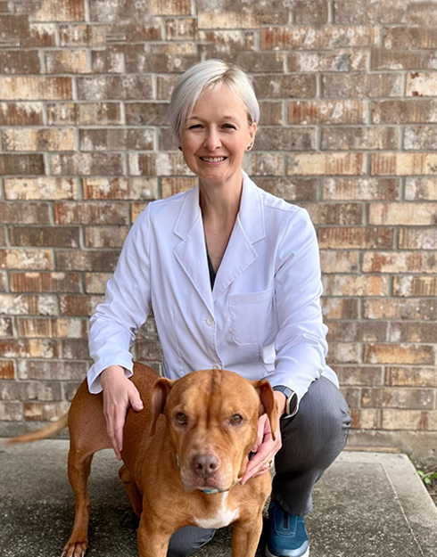 Wylie's Premier Veterinarians | Wylie Veterinary Hospital