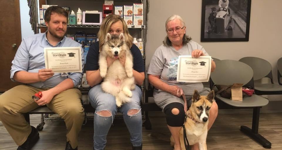 Puppy Pre-School | New Haven Pet Hospital