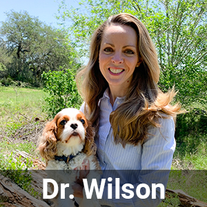 Our Animal Hospital Staff | Dripping Springs Animal Hospital