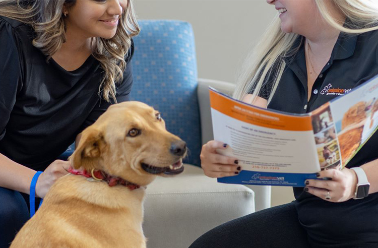 Veterinary Blog | MissionVet Specialty & Emergency