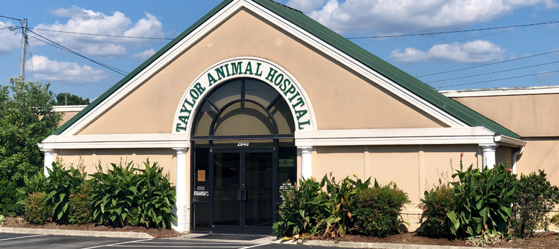 Veterinarian in Cleveland, TN | Taylor Animal Hospital