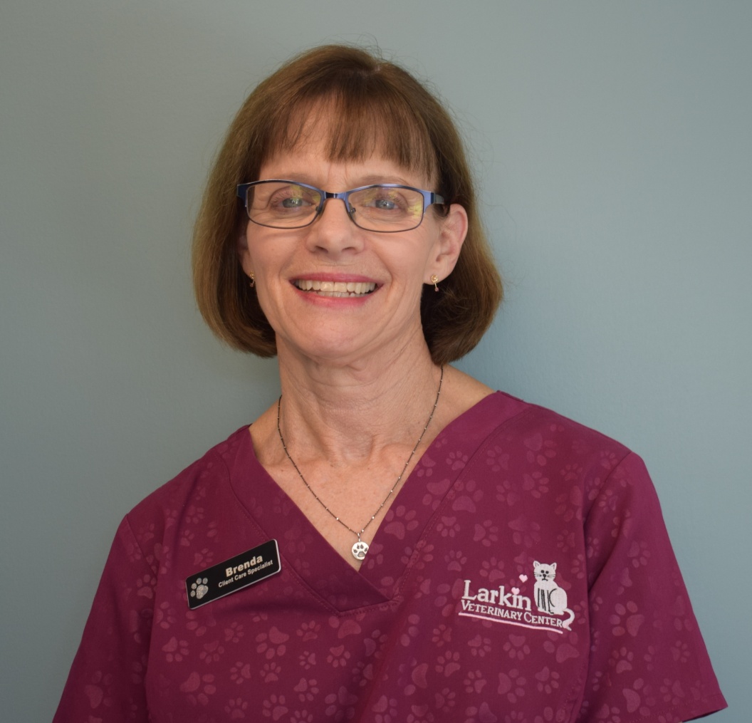 Our Veterinary Team | Larkin Veterinary Center