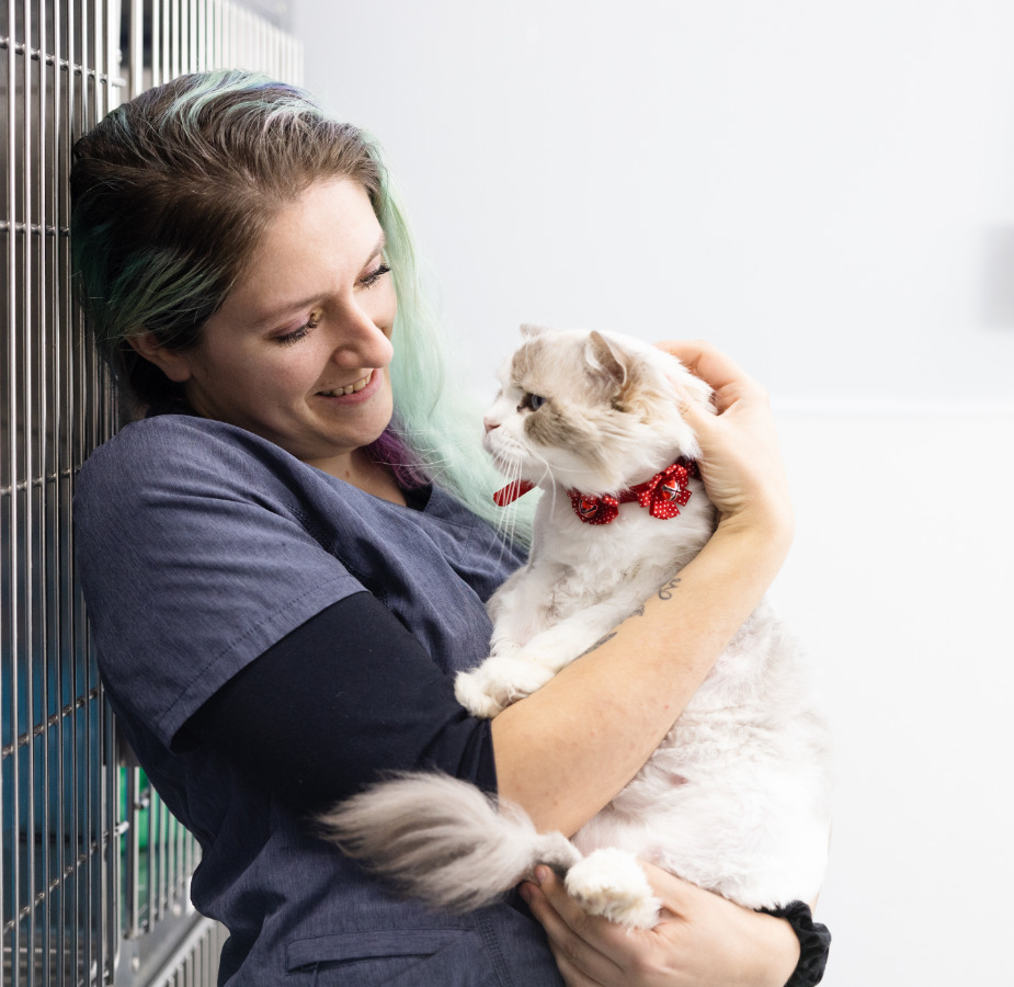 Our Animal Hospital | Burtch Animal Hospital