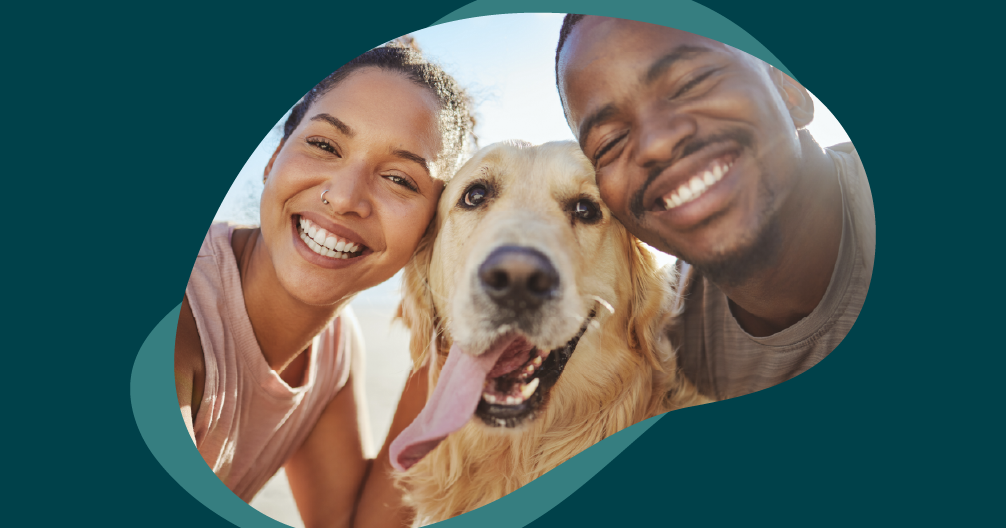 Homepage | ABC Veterinary Hospital