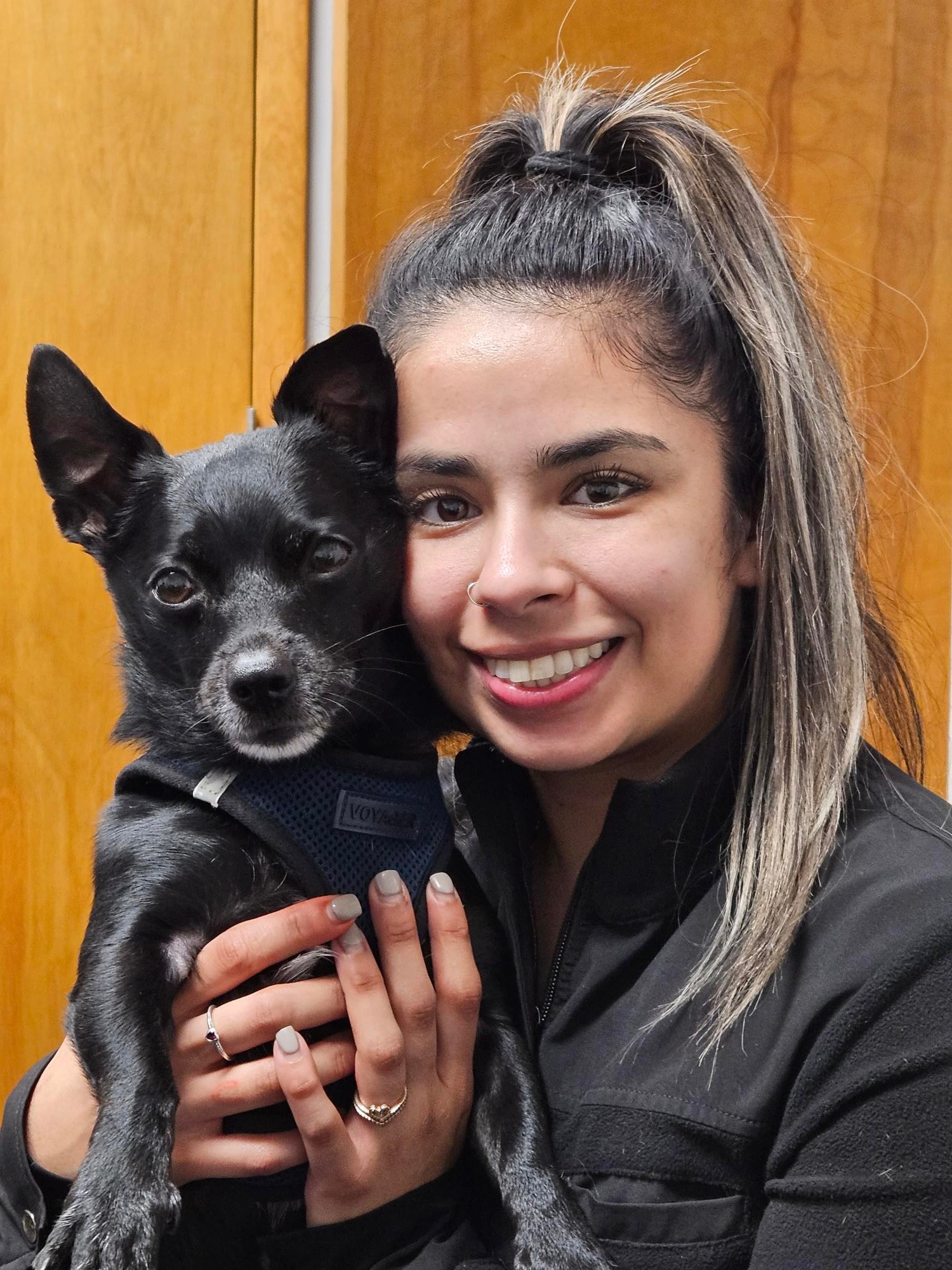 Staff | Elmwood Grove Animal Hospital