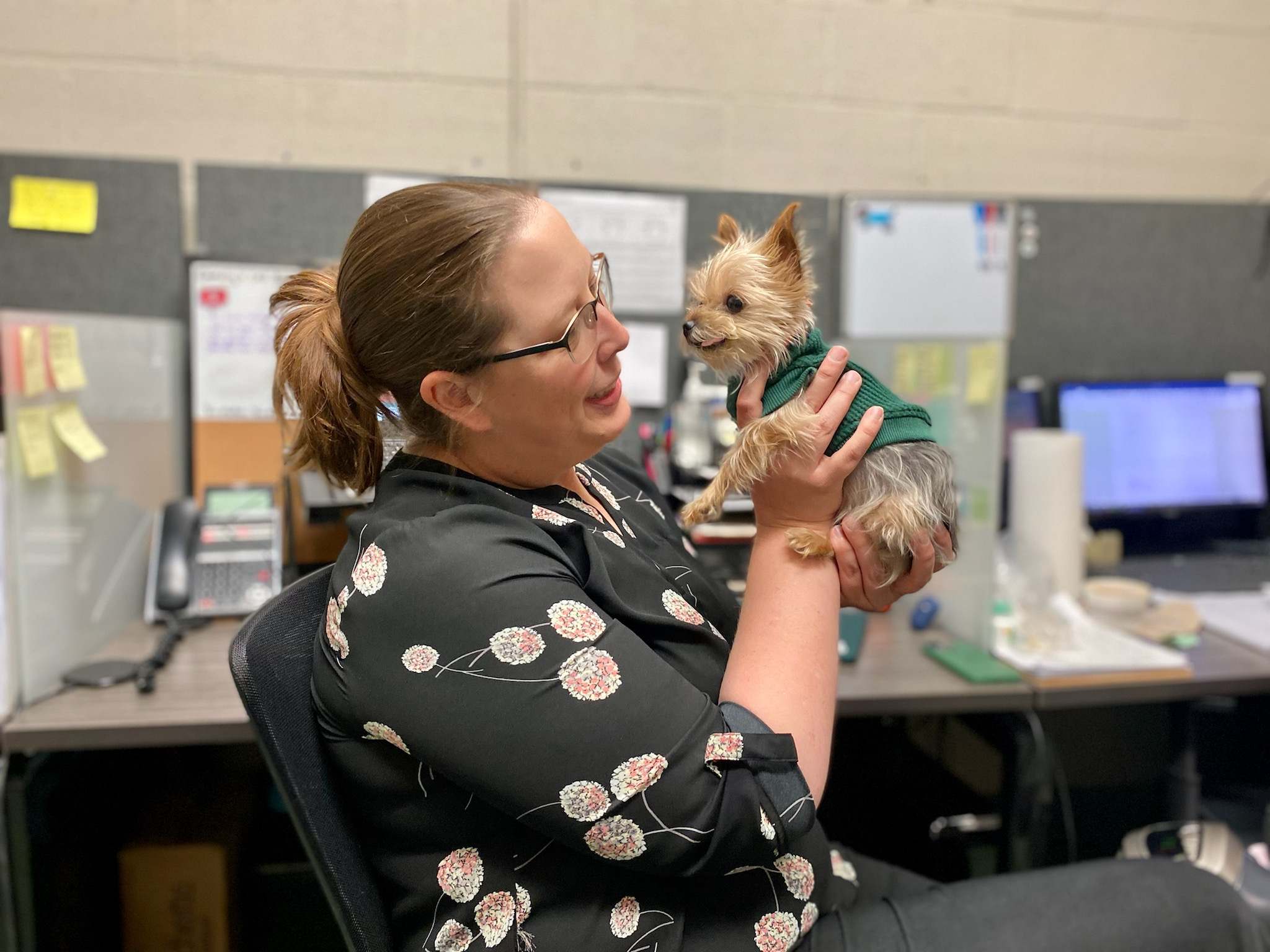 End of Life Care | Dogs and Cats Emergency & Specialty