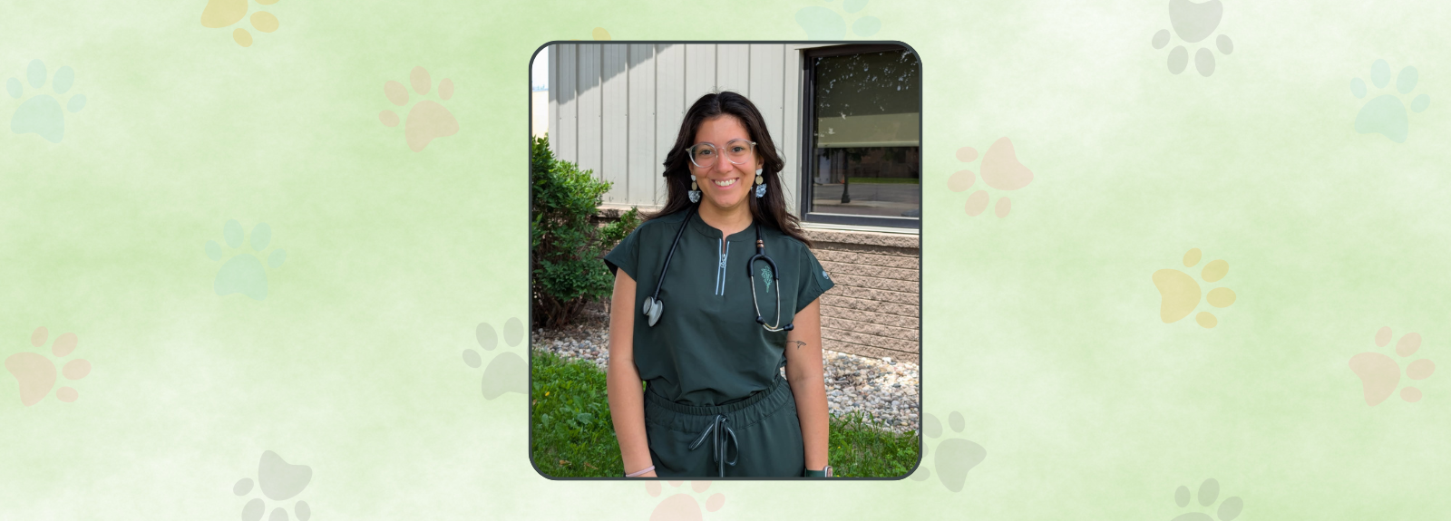 Homepage | Kind Veterinary Clinic