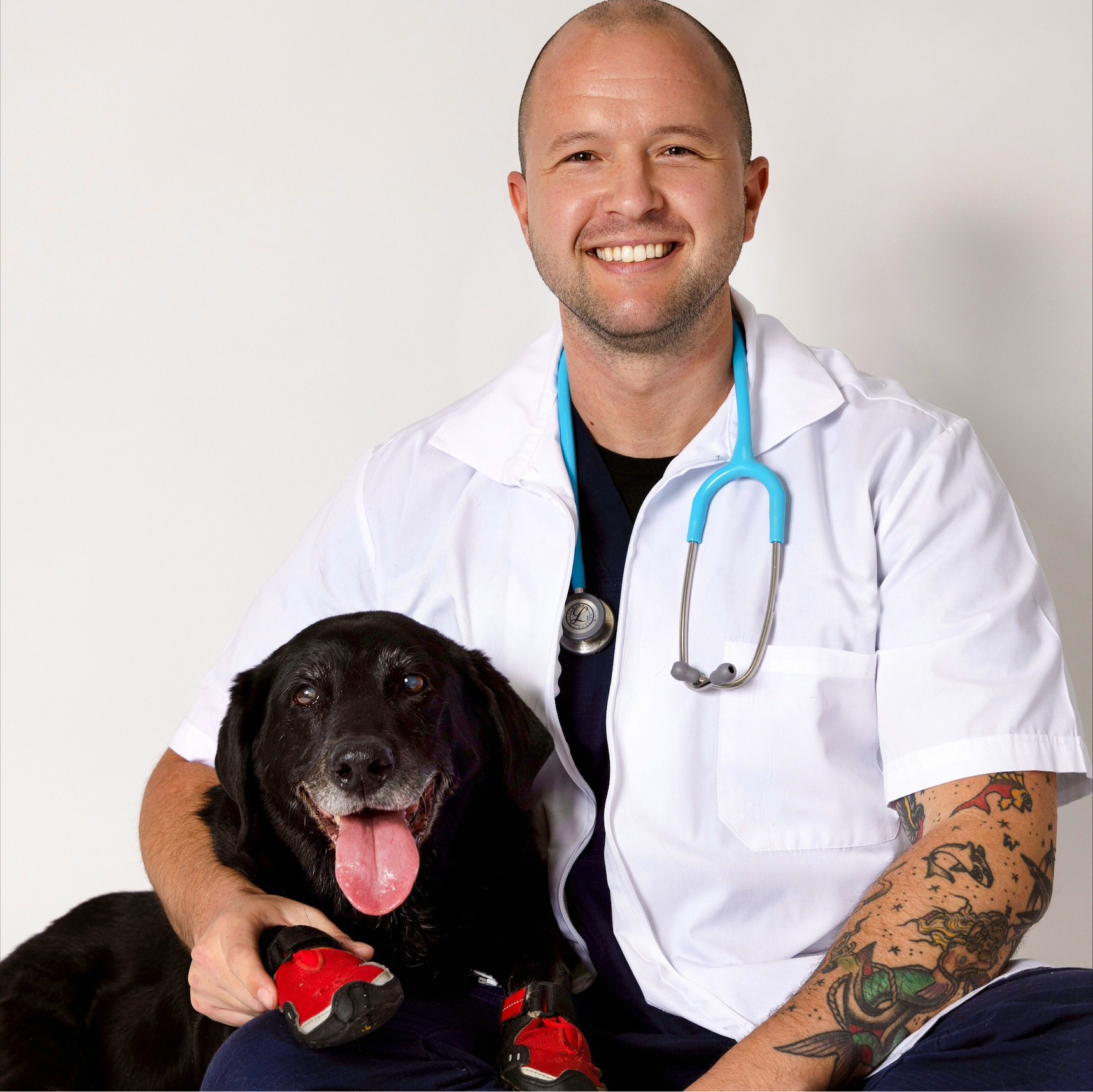 Our Expert Veterinarians in Houston, TX | South Belt Animal Hospital