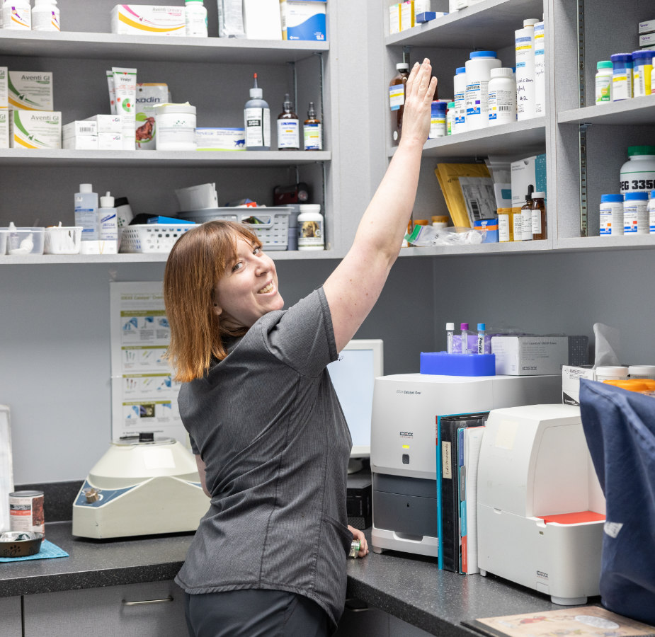 Our Animal Hospital | Burtch Animal Hospital